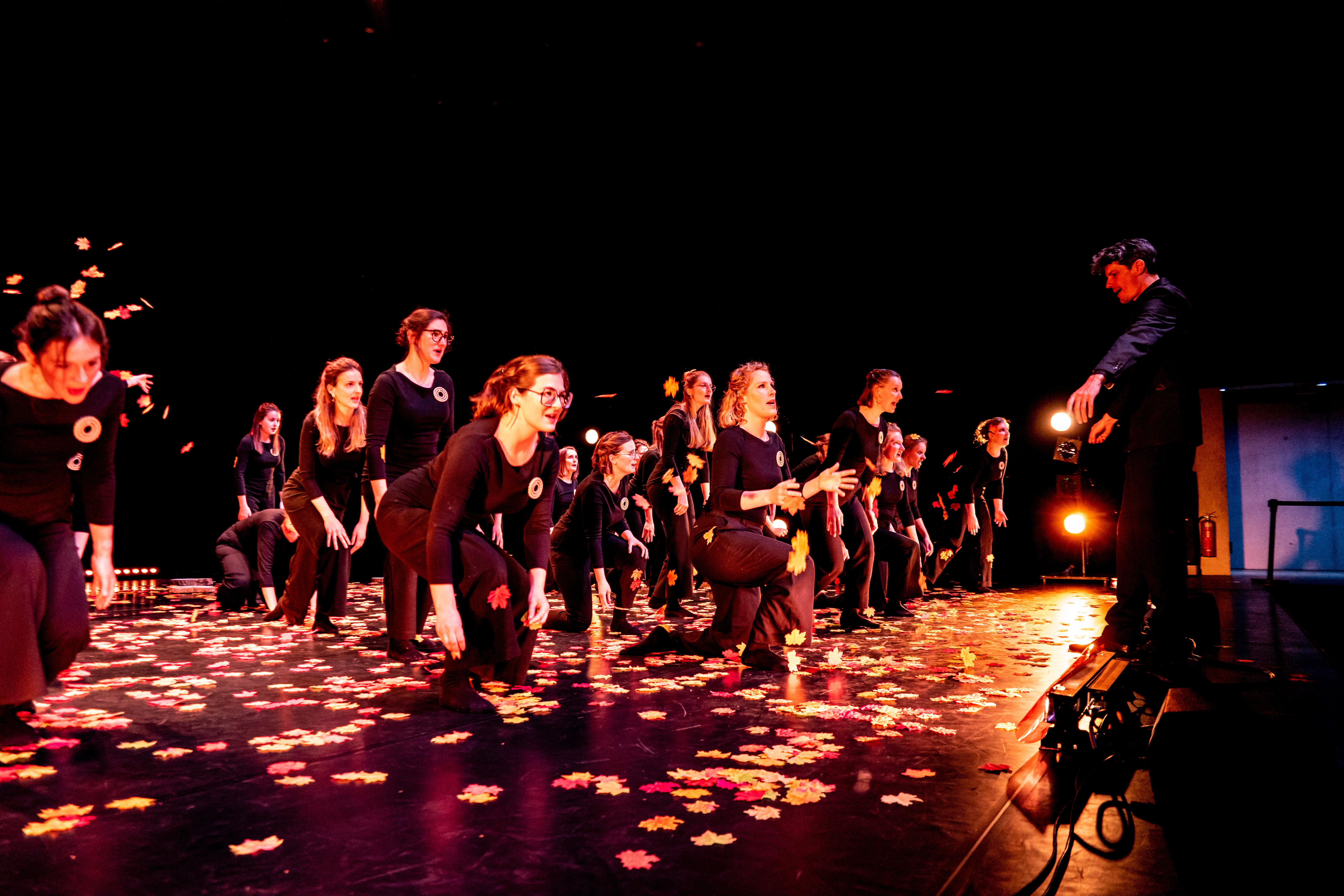 Home I Amaranthe Oudenaarde